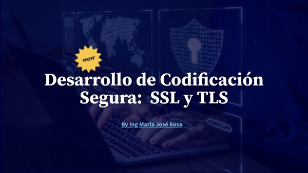 Codificación Segura