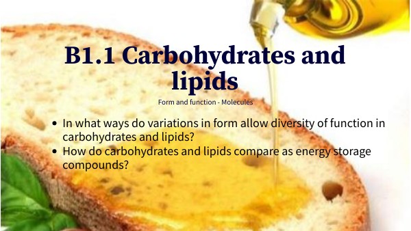 U1.2_B1.1_Carbohydrates_and_lipids_SL