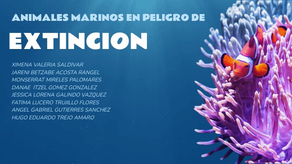Animales en peligro de extinción Marinos