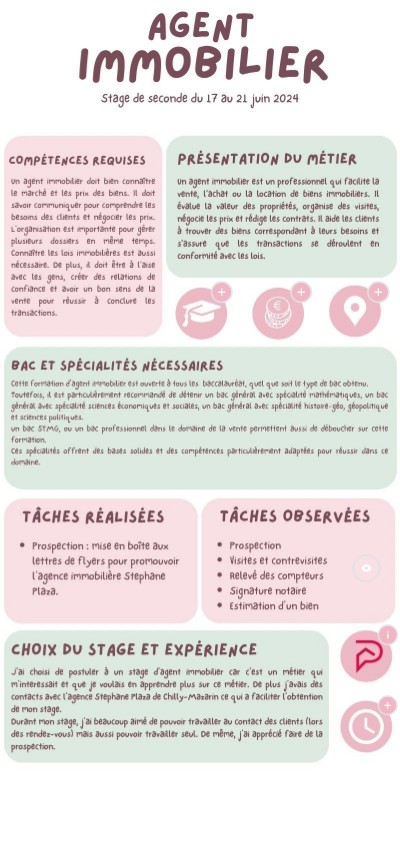 Infographie Agent Immobilier | Genially