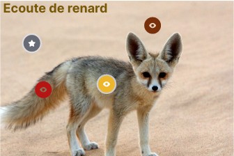 Image interactive fennec | Genially