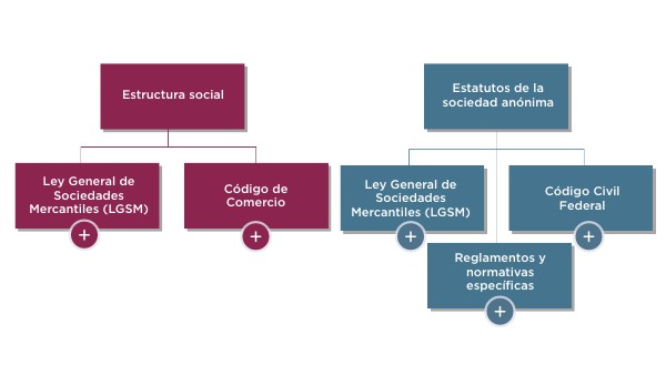 5.5.2- Mapa conceptual (Estructura social, estatutos de la soci