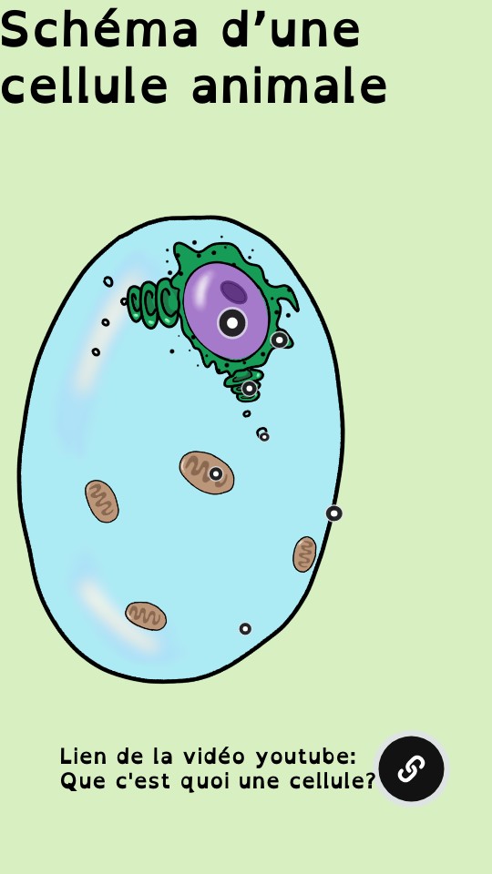 Les cellules | Genially