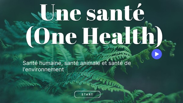 Nature Presentation | Genially