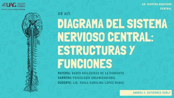 U5 Al1 - DIAGRAMA DEL SNC