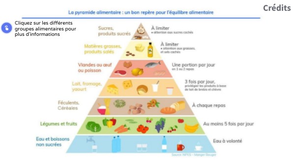 Cliquez sur les différents groupes alimentaires pour plus d ...