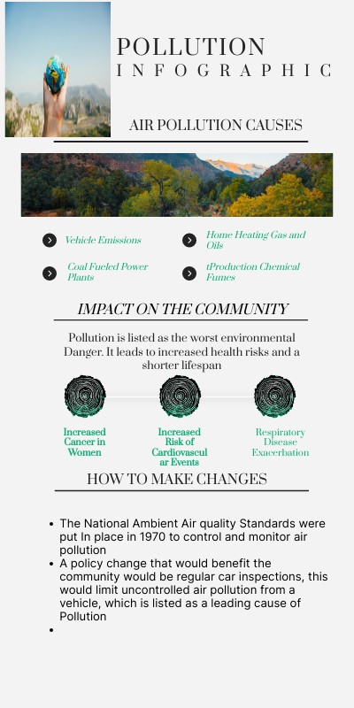 Copy - Pollution Infographic | Genially