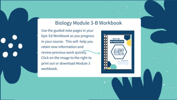 Bio Module 3 B Workbook
