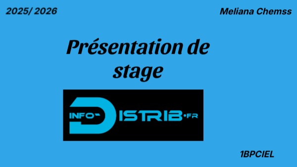 Présentation de stage