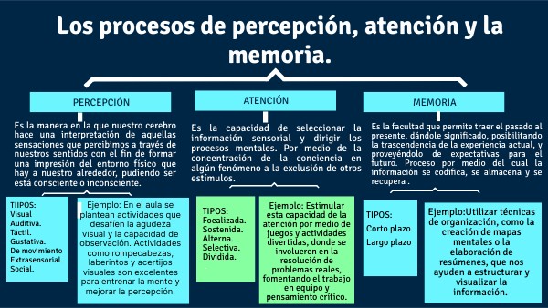 procesos de percepción, atención y la memoria. | Genially