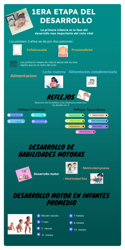 1era Etapa del Desarrollo | Genially