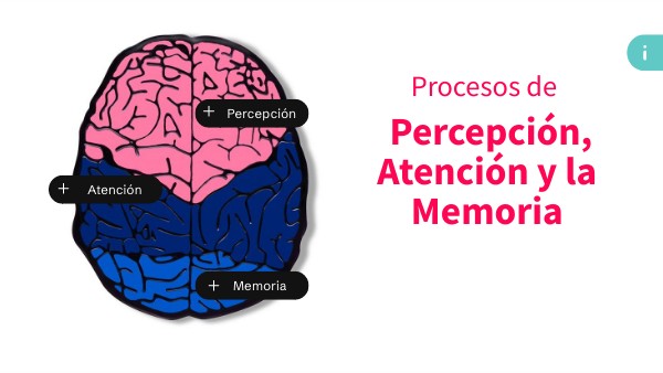 los procesos de percepción, atención y la memoria. | Genially