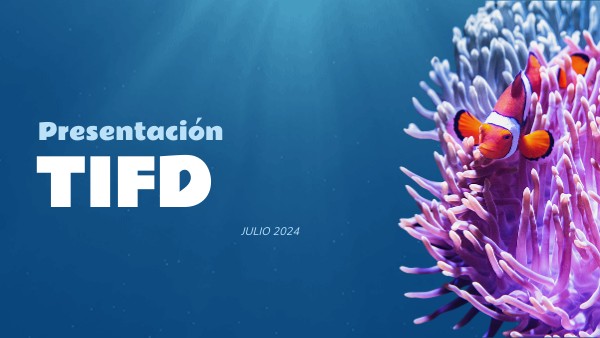 TIFD Zona 09 Sec Tec