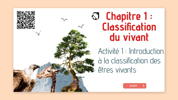 Introduction à la classification | Genially