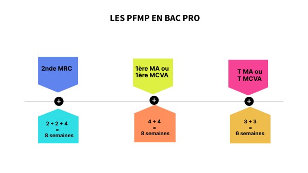 PFMP Bac pro