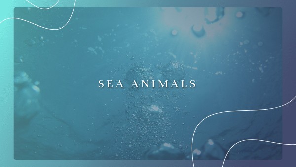 CLIL SEA ANIMALS
