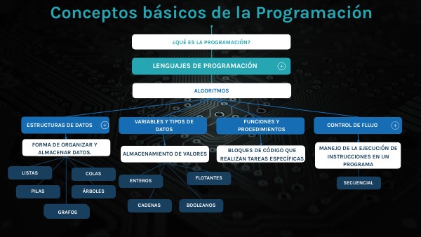 Conceptos básicos programación | Genially