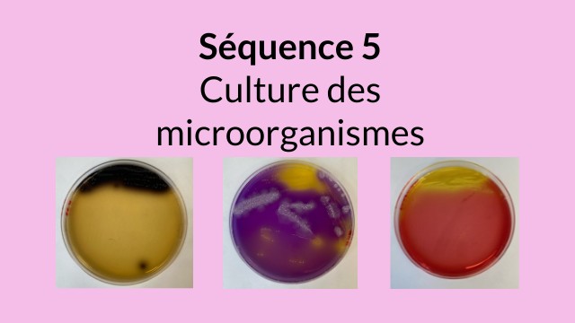 Séquence 5 1ere STL | Genially