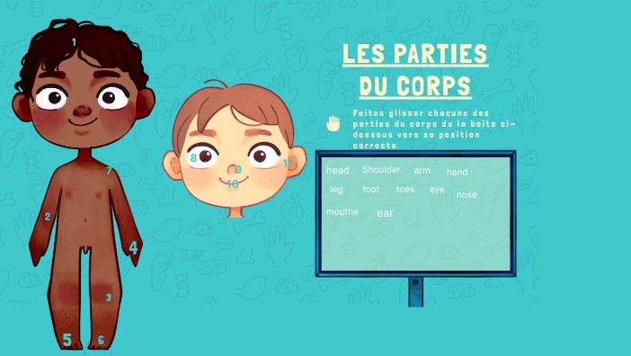 JEU INTERACTIF - LES ORGANES DU CORPS HUMAIN | Genially