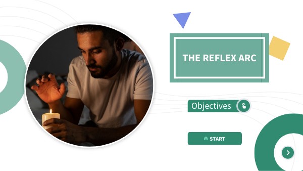 SC12-WEEK28-THE REFLEX ARC