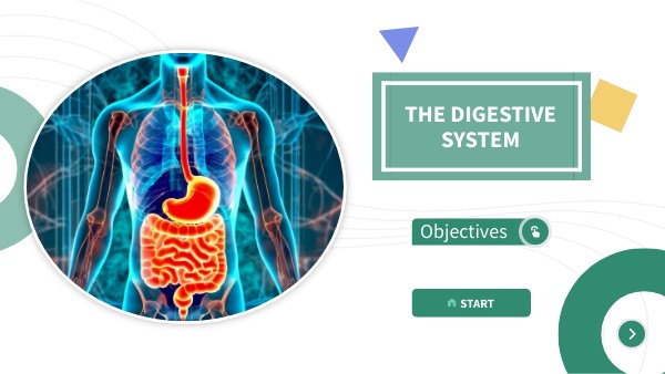 SC12-WEEK31-THE DIGESTIVE SYSTEM