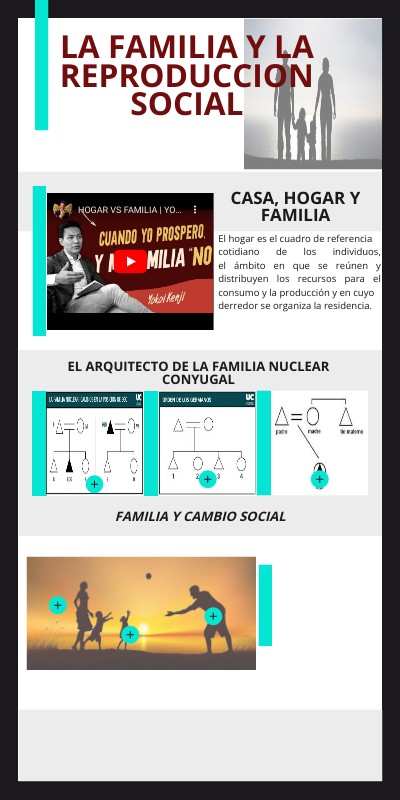 Infografía la familia