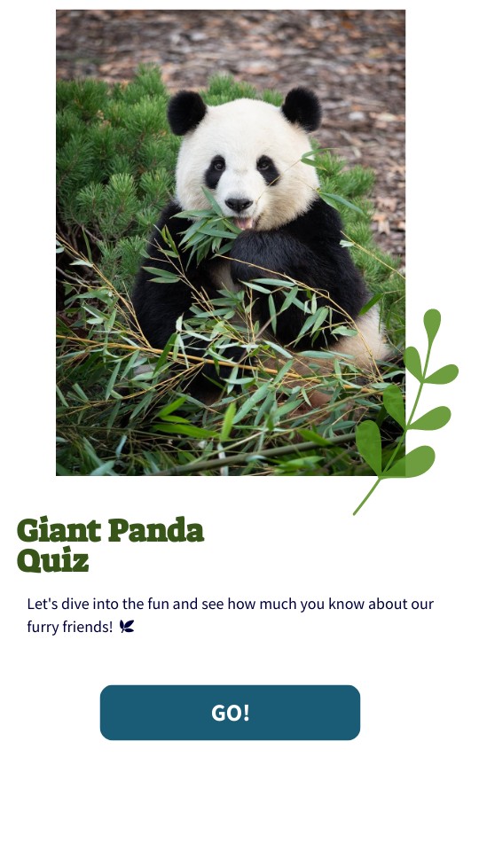 Panda Quiz | Genially