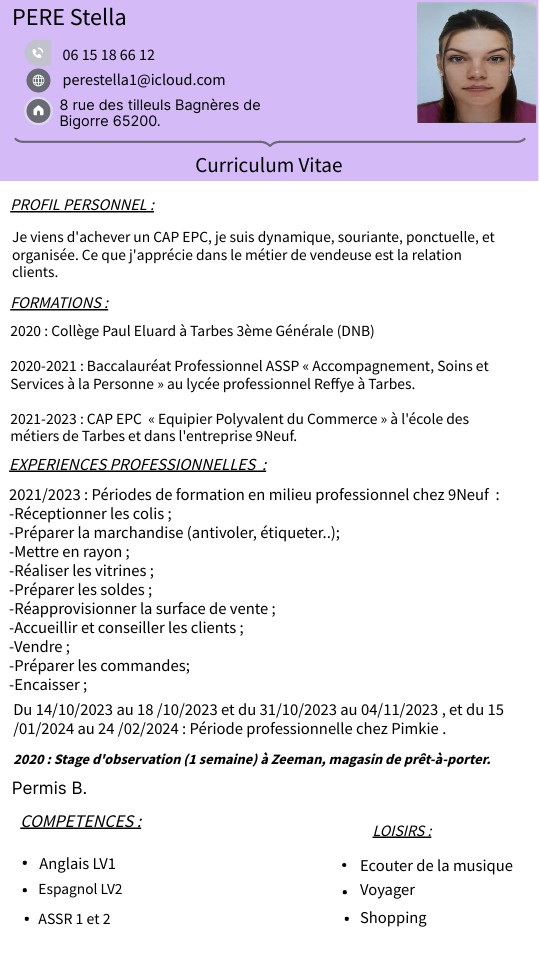 Copie - Copie - CV bac pro