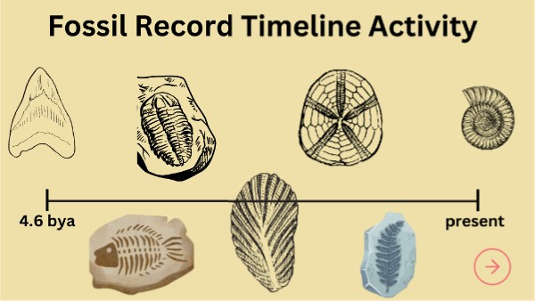 Fossil Record Timeline Activity | Genially