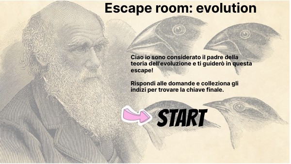 Prova Escape Room_Evoluzione