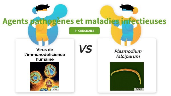 sida et paludisme | Genially