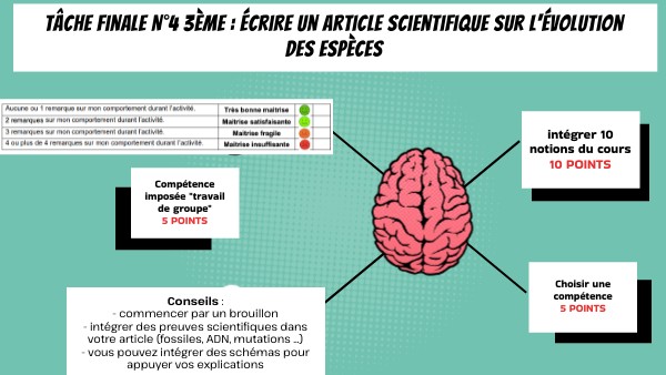 Tâche finale