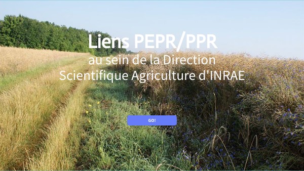 Copie - Liens PEPR/PPR