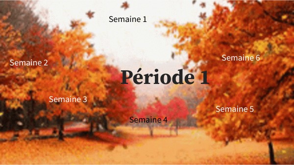 Période 1 La grammaire au jour le jour Le Chimpanzé | Genially