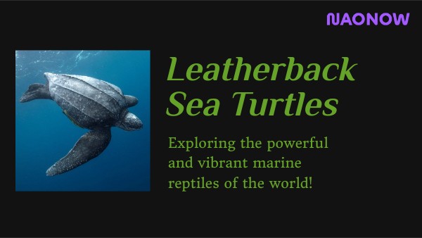 Leatherback Sea Turtle Presentation