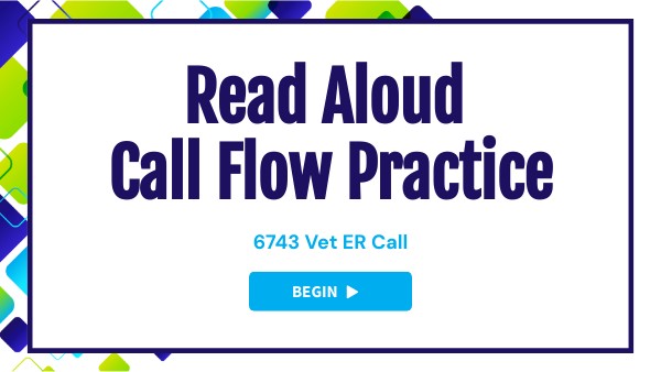 ER Call Flow Practice | Genially