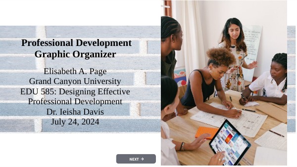 Professional Development Graphic Organizer