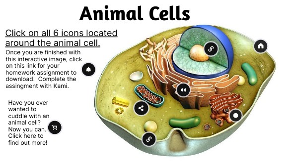 Animal Cell Interactive
