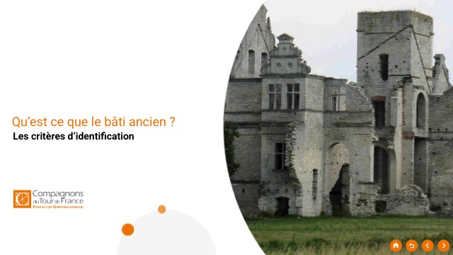 CAREB (M1-S1) - Les critères d'identification | Genially