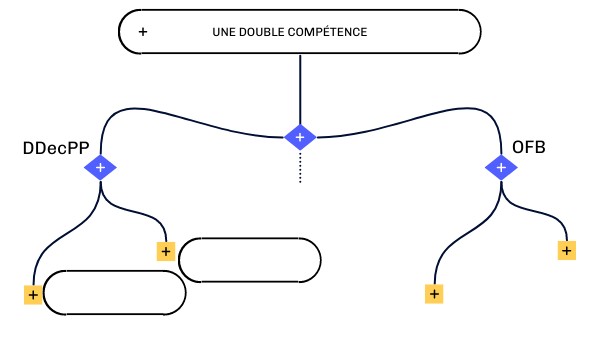 Branching diagram | Genially