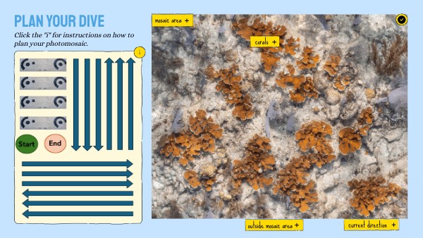 Unit8 Mod3 Plan your Mosaic Dive