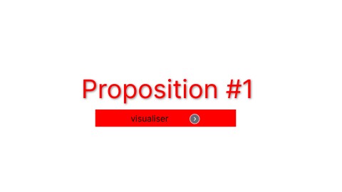 Lib4_Proposition activité vision | Genially