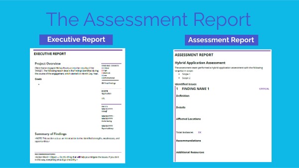 1. Assessment Report: Overview