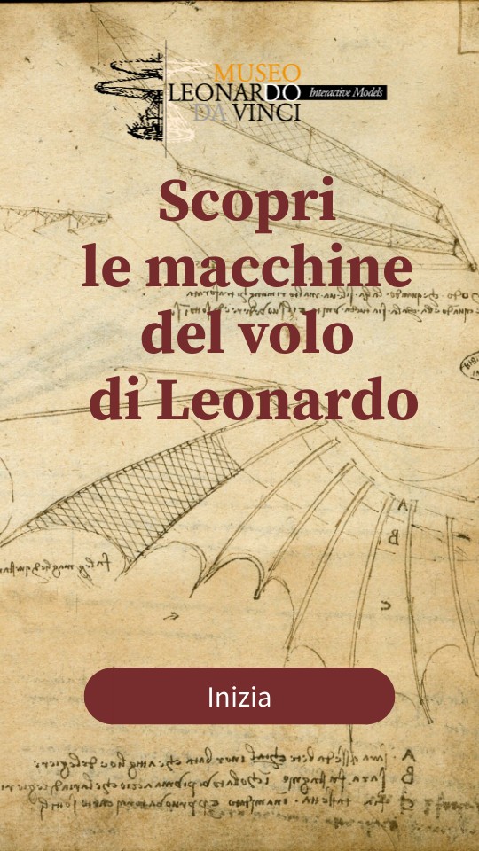 Volo