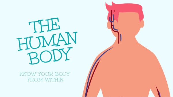 Human Body Presentation