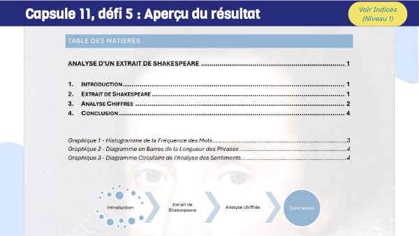Culture Numérique - Capsule 11 - Défi 5