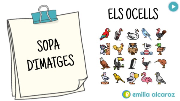 Sopa d'imatges. Ocells | Genially