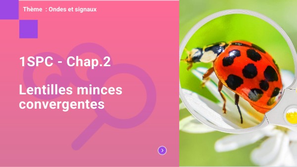 1SPC Chap.2 : Lentilles | Genially