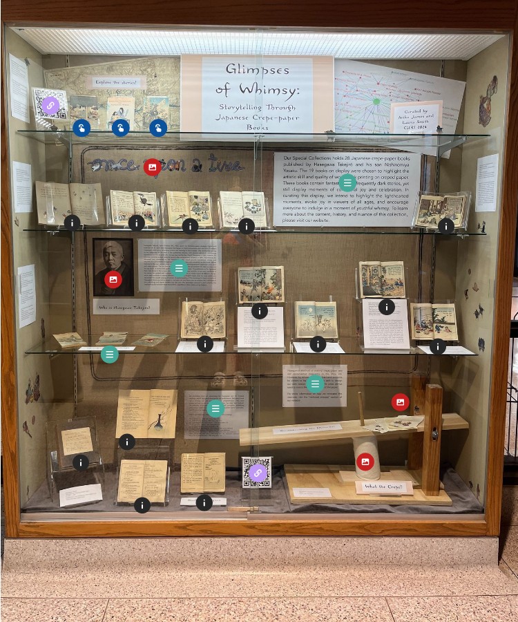 Library Case Display