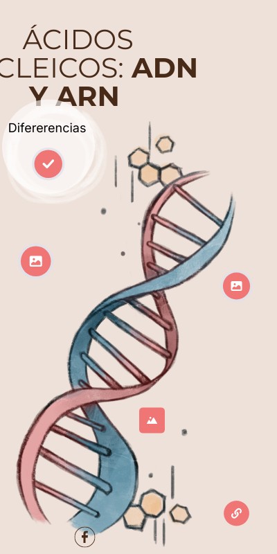 Cuadro comparativo ADN/ARN